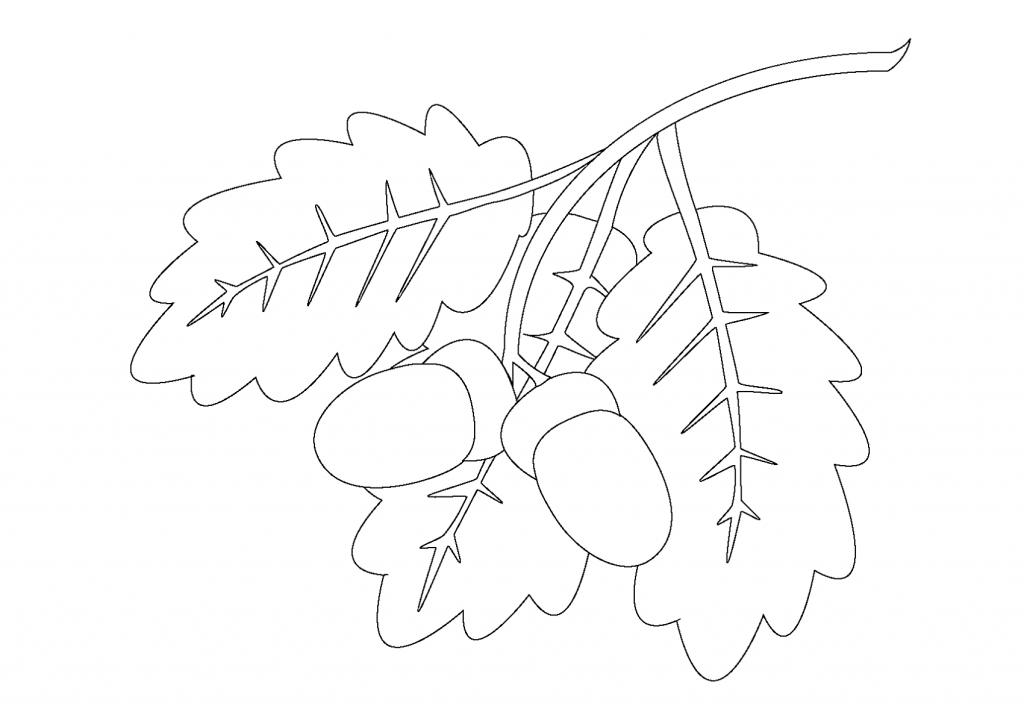 Leaf Coloring Pages For Preschool Activity Shelter